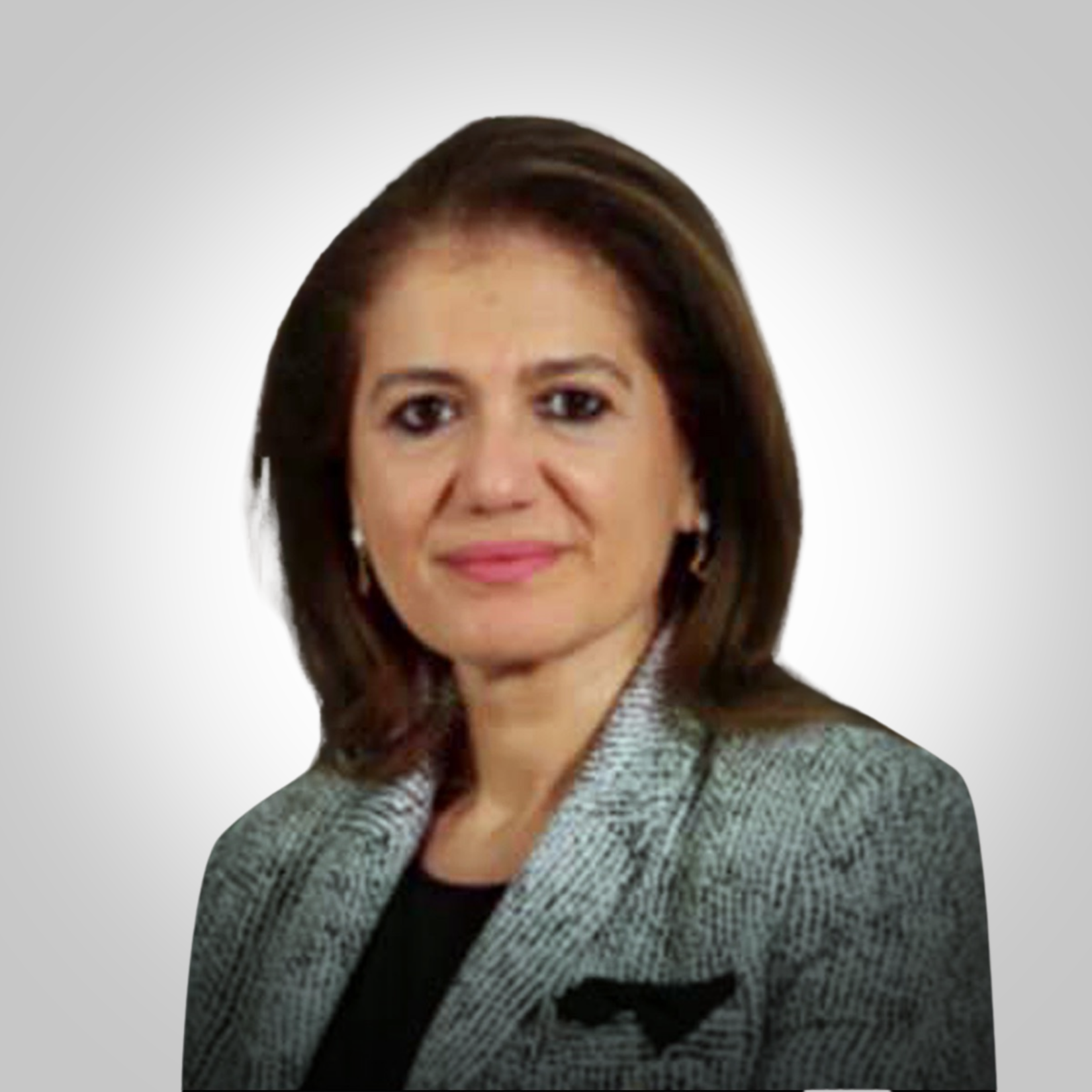 Board of Directors - Endeavor Jordan